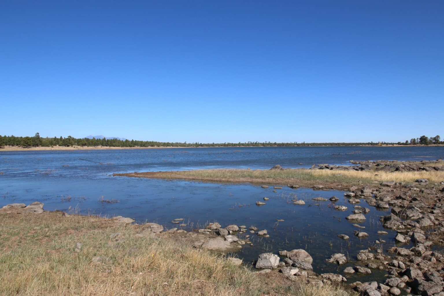 Ashurst Lake – Trout Fishing & Forest-Side Camping Near Flagstaff